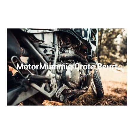 Grote beurt motor / onderhoudsbeurt motor